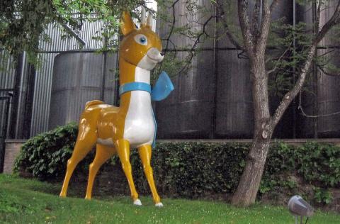 Water Deer Interaction with Humans - Culture | Wildlife Online