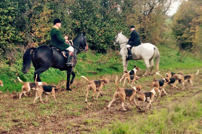 Fox Hunting & The Hunting Act (2004) | Wildlife Online